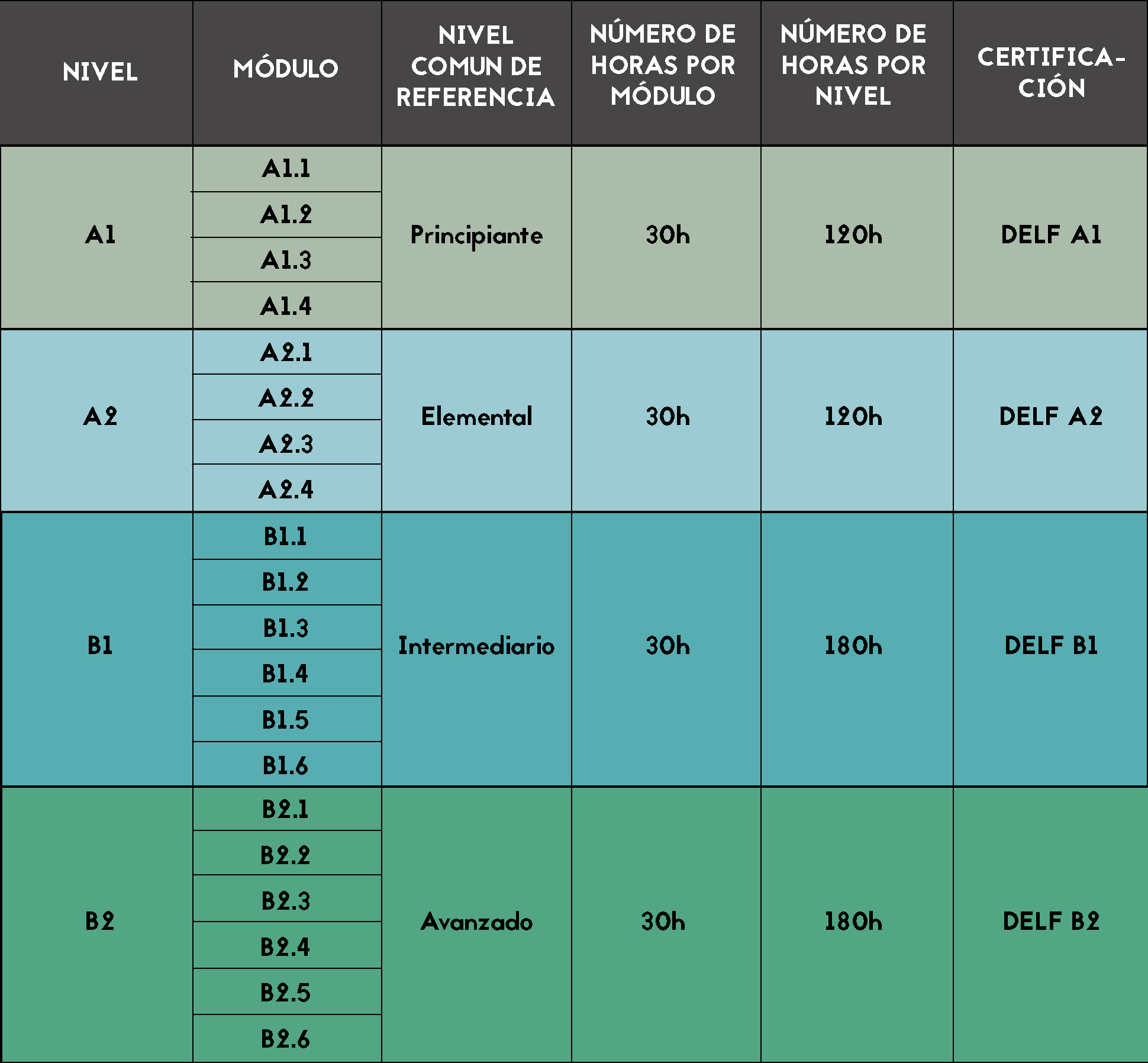 Niveles y progresión – Alianza Francesa de Querétaro
